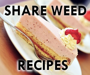 Easy Cannabis Chocolate Fudge Recipe - Stoners Cookbook